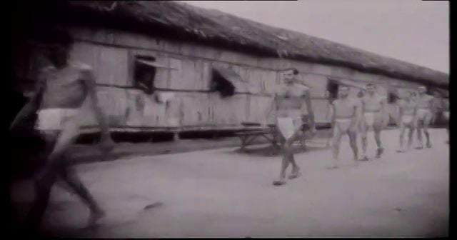 Robin Newell on Vimeo