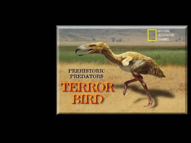 Prehistoric Predators: TERROR BIRD on Vimeo