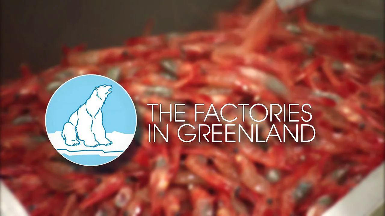 Factories in Greenland on Vimeo