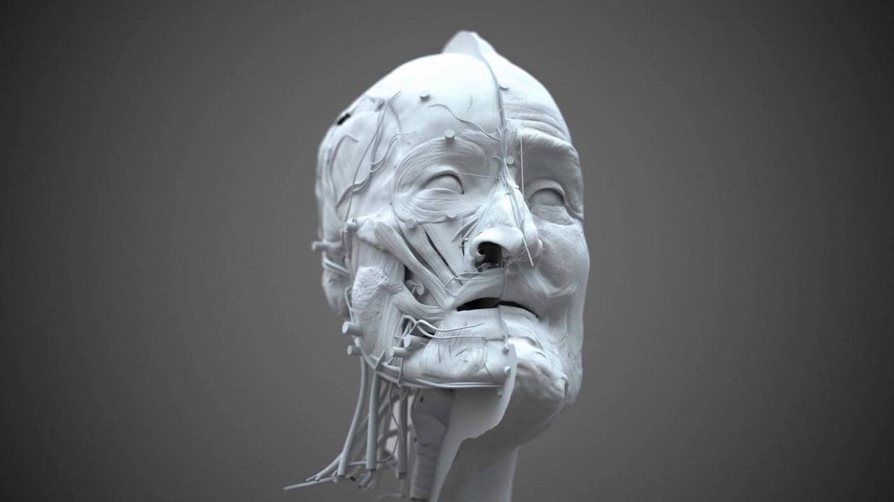 3D Forensic facial reconstruction, Visualforensic 2013 feb on Vimeo