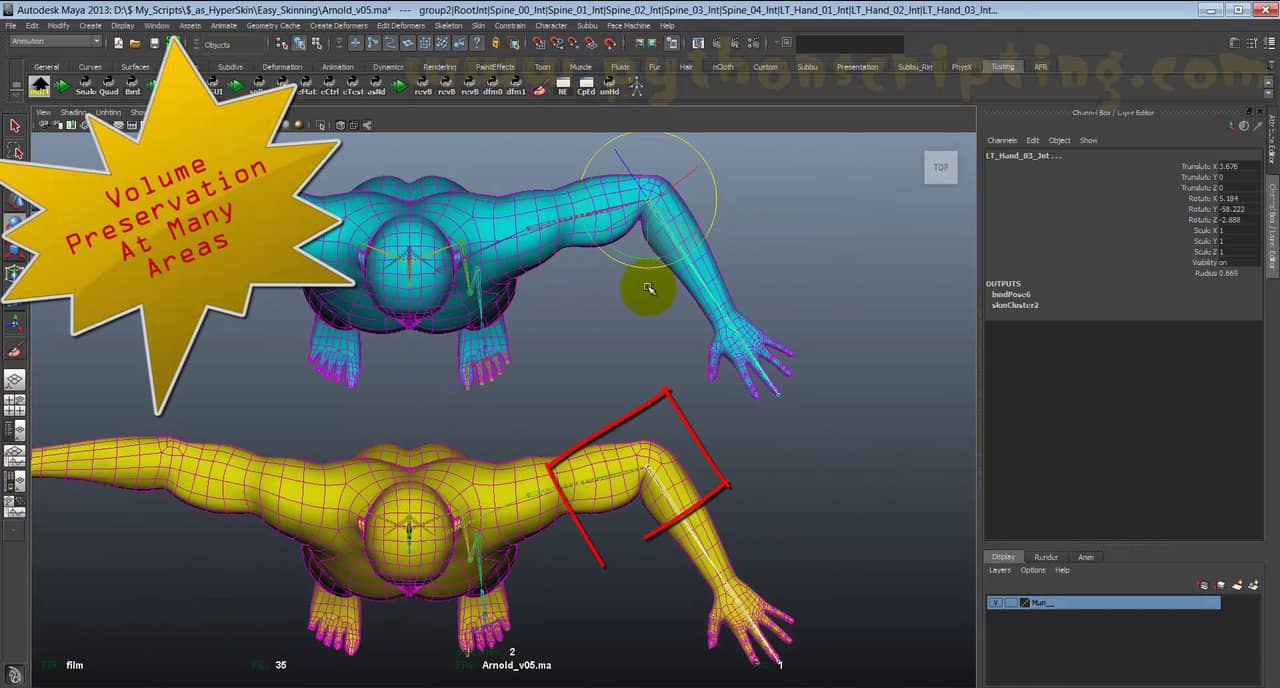 as_HyperSkin : Auto Skinning - State Of The Art Skinning Tool For Maya ...
