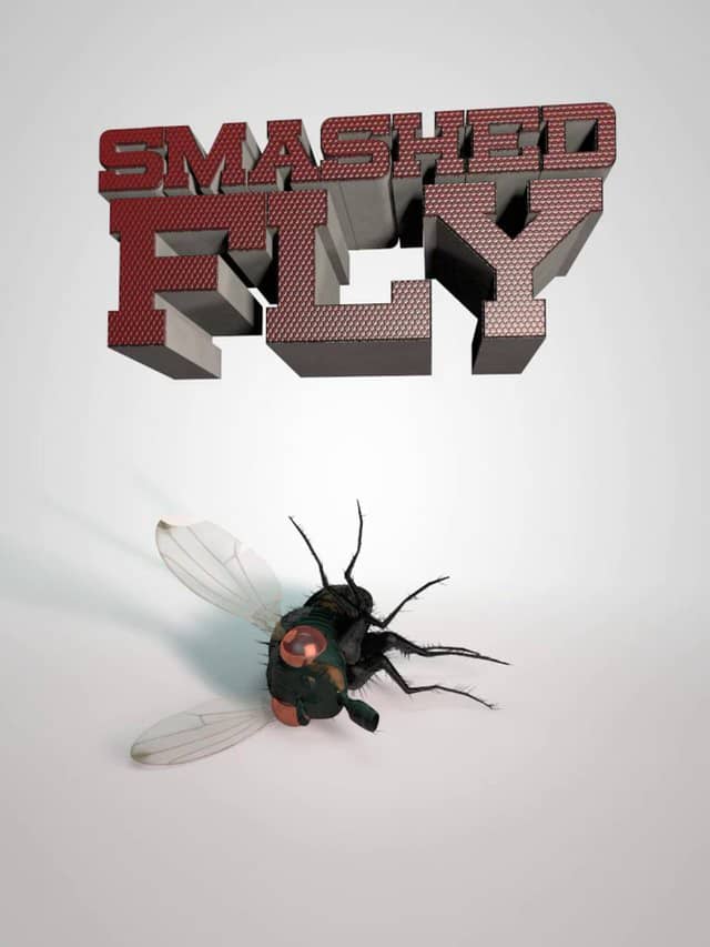 Smashed Fly iPad developer ID. on Vimeo