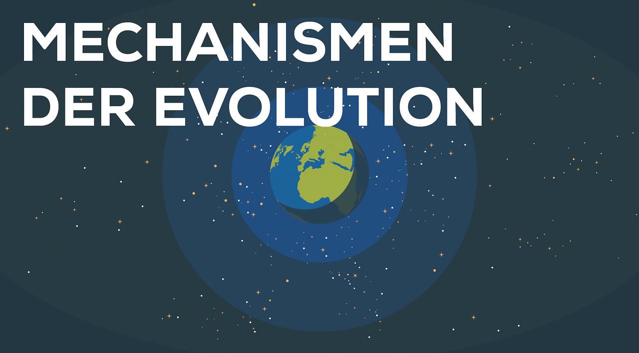 Mechanismen der Evolution | Lernen beim Lachen | 12 Minuten Erklärfilm
