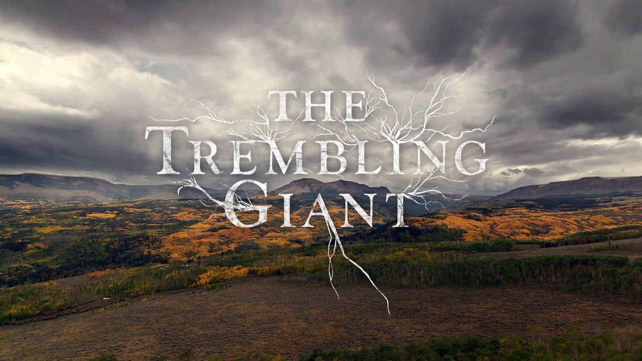 The Trembling Giant Official Trailer on Vimeo