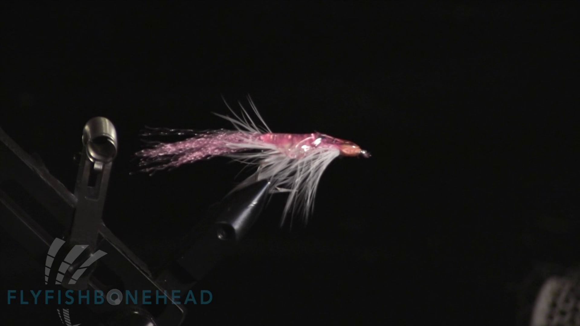 Ultra Shrimp by Bob Popovic : FLYFISHBONEHEAD