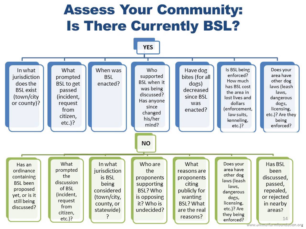 Breed Specific Legislation Presentation (2013) on Vimeo