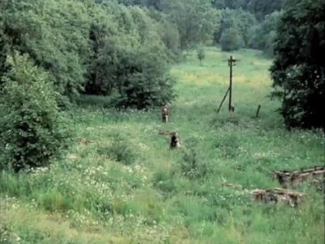 Three Scenes from Tarkovsky's STALKER on Vimeo