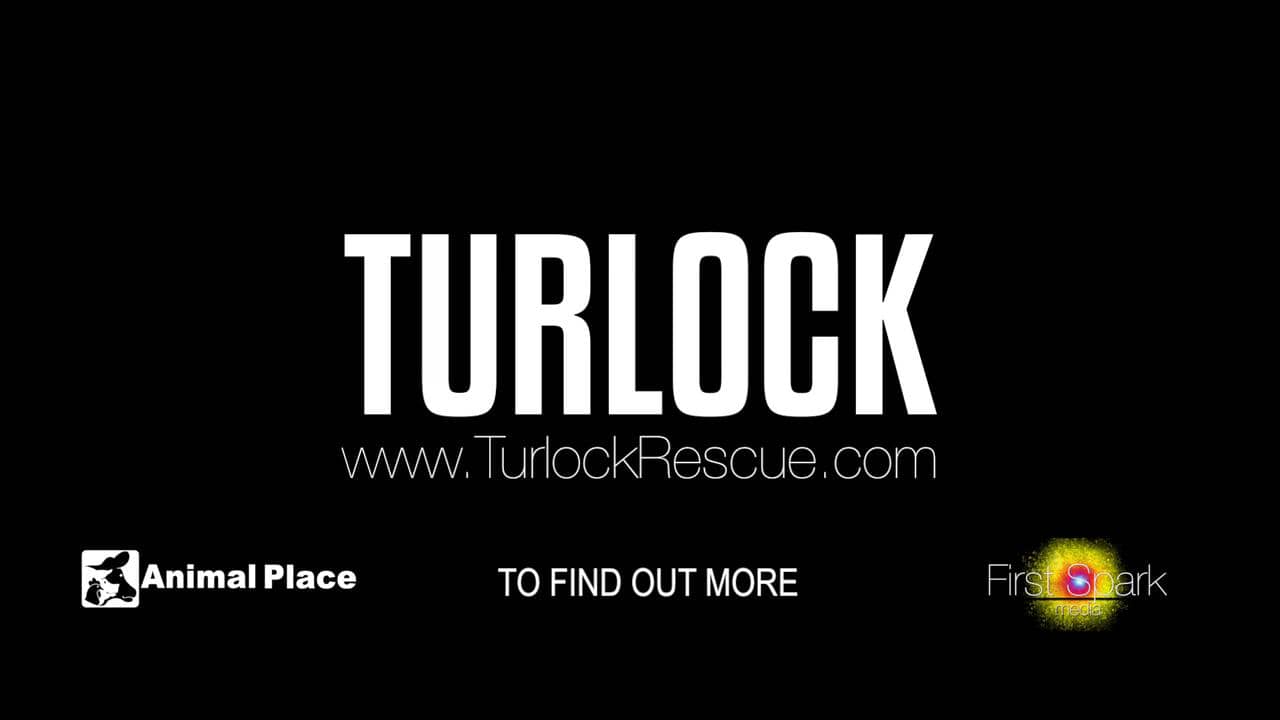 Turlock TV spot 1 on Vimeo