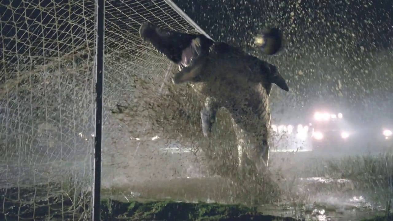 Optus "Secret Training Camp" | Commercial on Vimeo