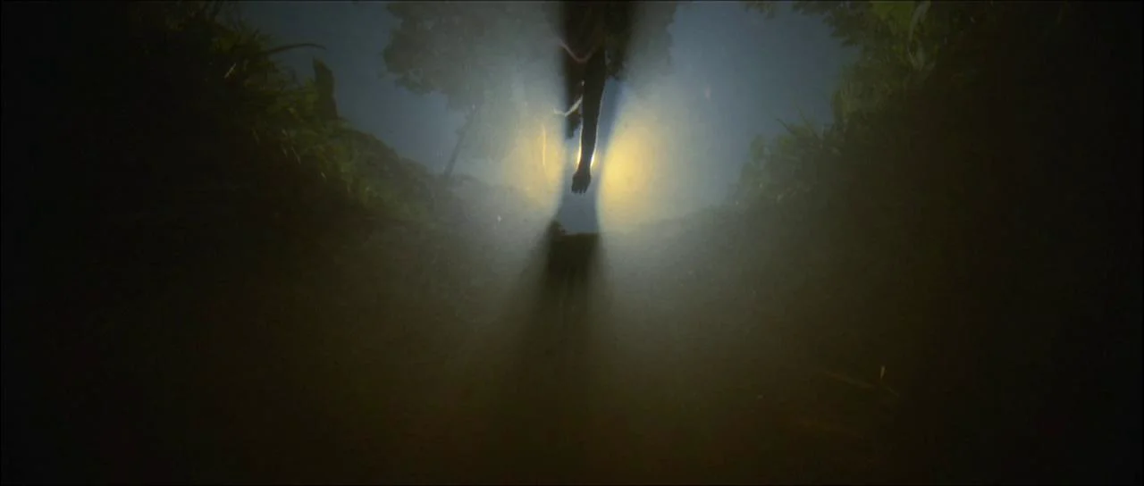 Eco Swimming Pool on Vimeo