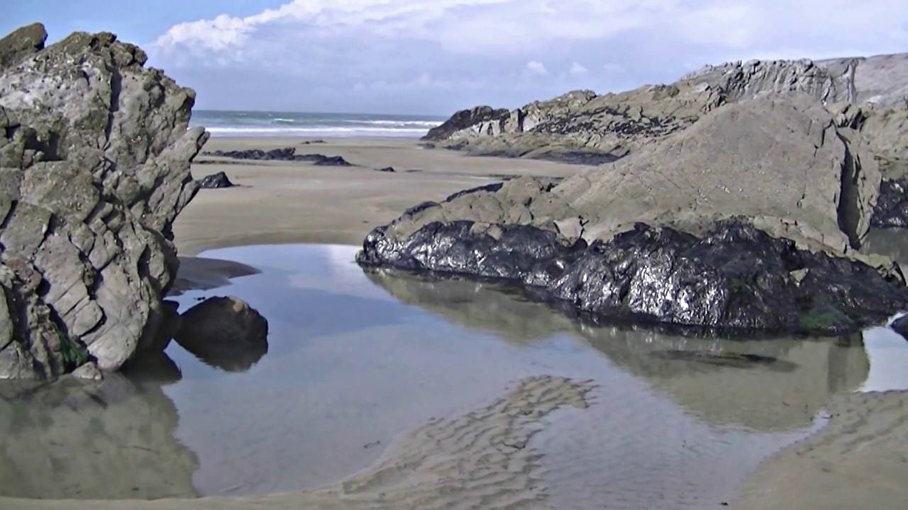 Art Of Nature - Beach At Sharrow Point HD on Vimeo