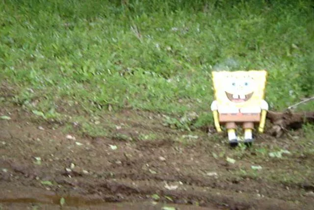 Spongebob NOOOOO on Vimeo