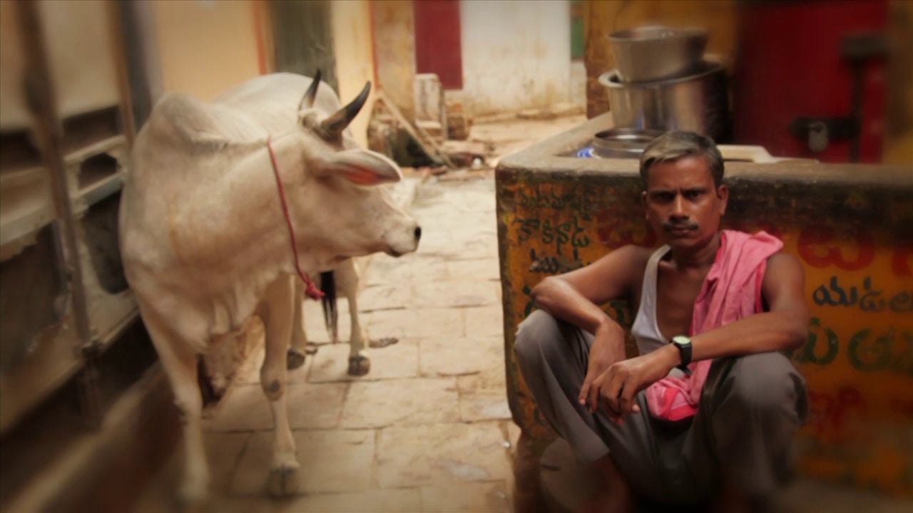 Faces of India on Vimeo