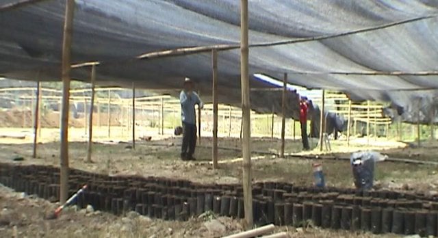 A day’s work of hanging shade cloth condensed into 2 minutes . on Vimeo