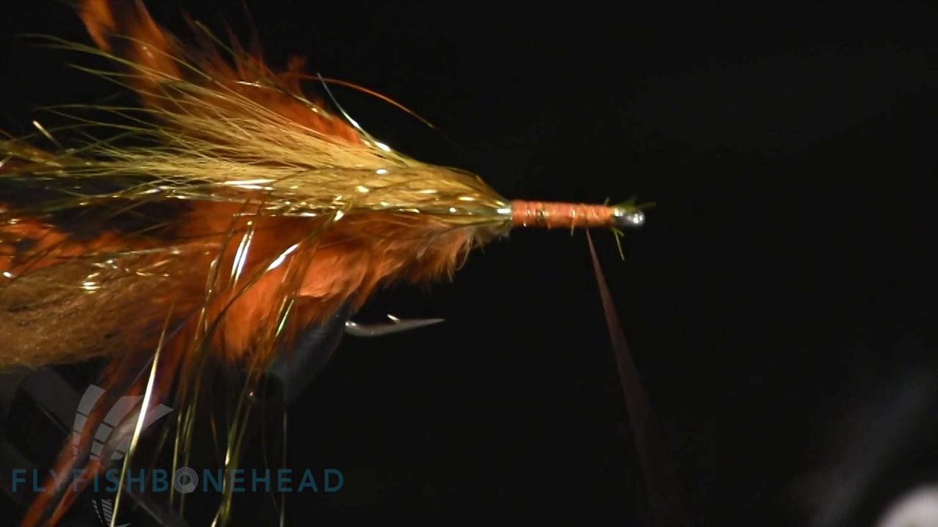 Orange Shark Fly : FLYFISHBONEHEAD