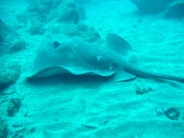 Vila Franca, Spot Ancoras, Rato do Mar, Açores 08 on Vimeo