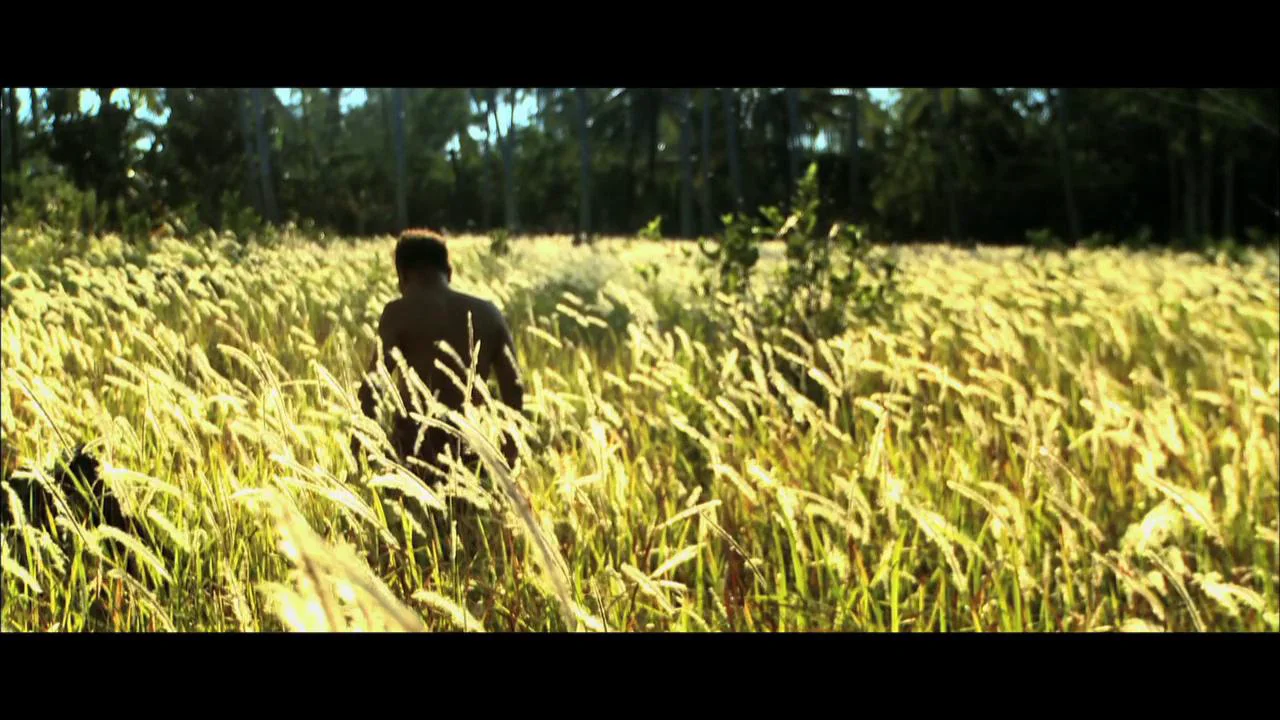 Rare Fish on Vimeo