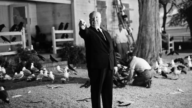 THE BIRDS: Hitchcock's Monster Movie on Vimeo