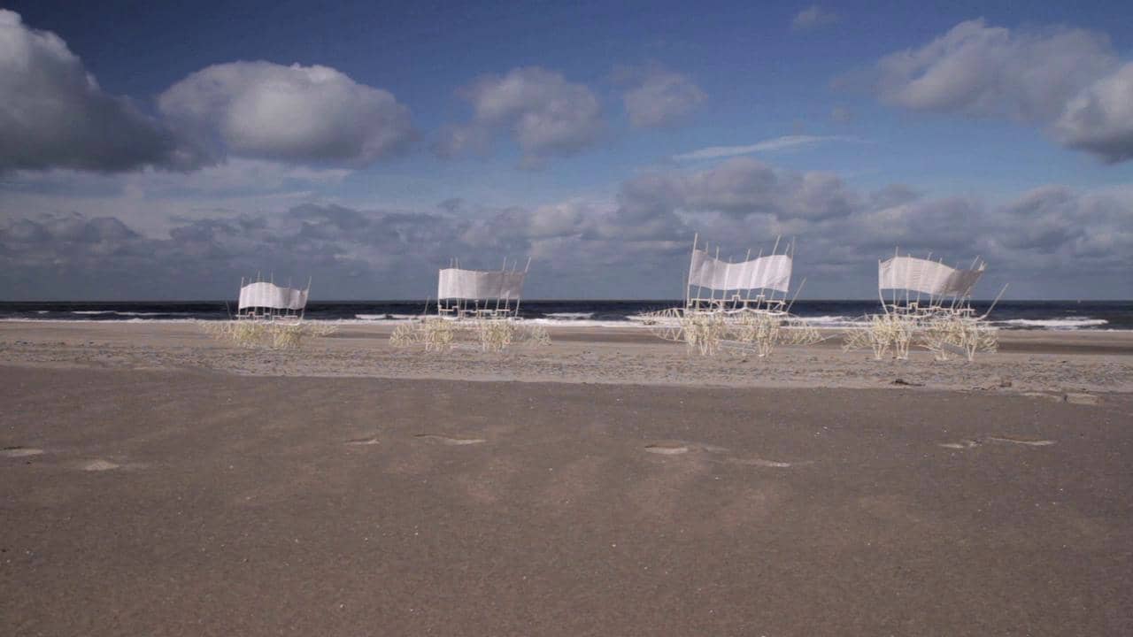 STRANDBEESTEN by Theo Jansen - September 2012 on Vimeo