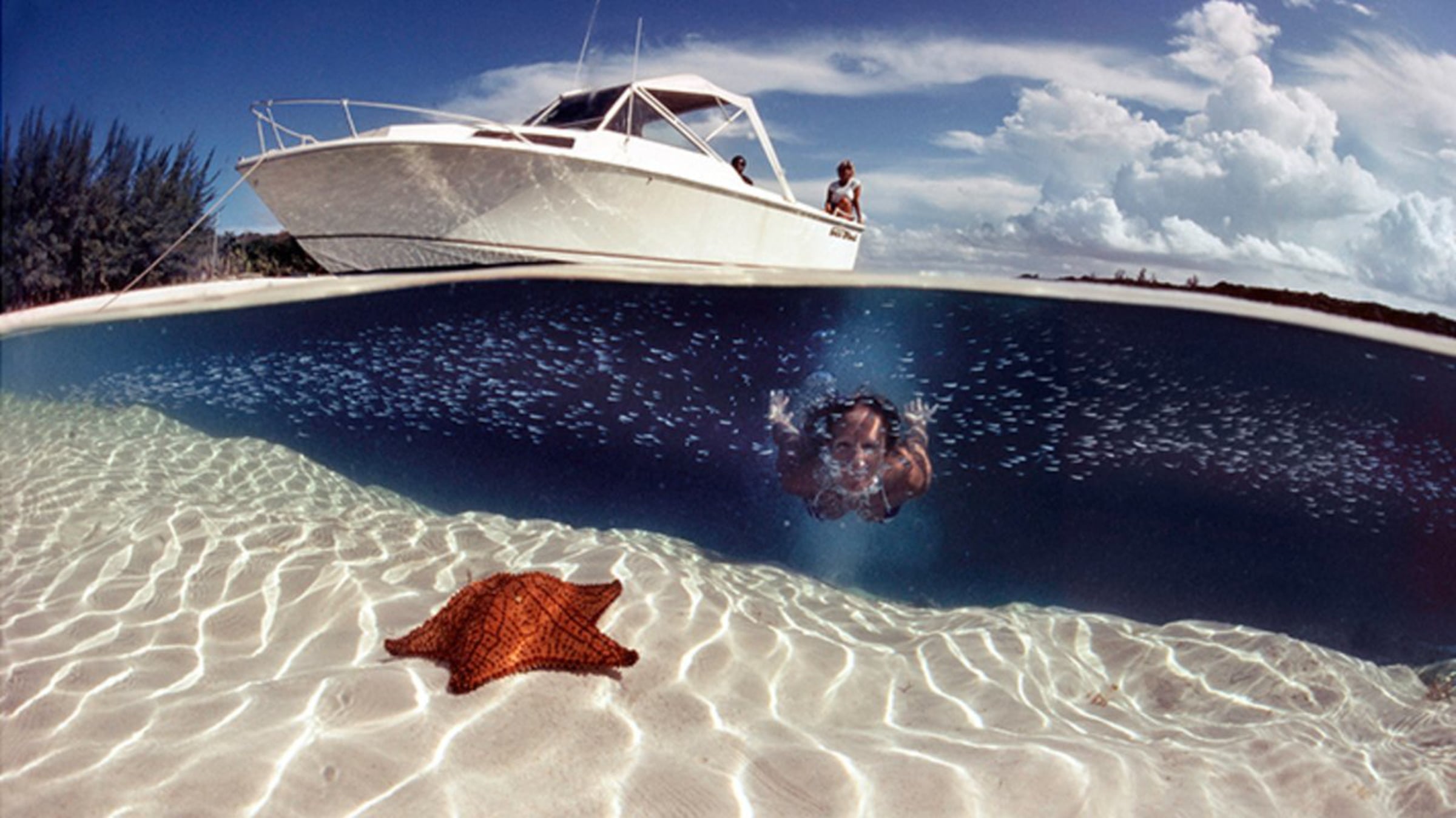 30 Years of BAD Pictures