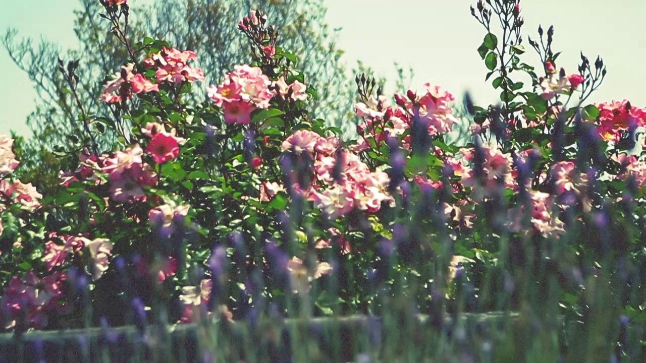 RHYTHM | SPRING 2013 on Vimeo