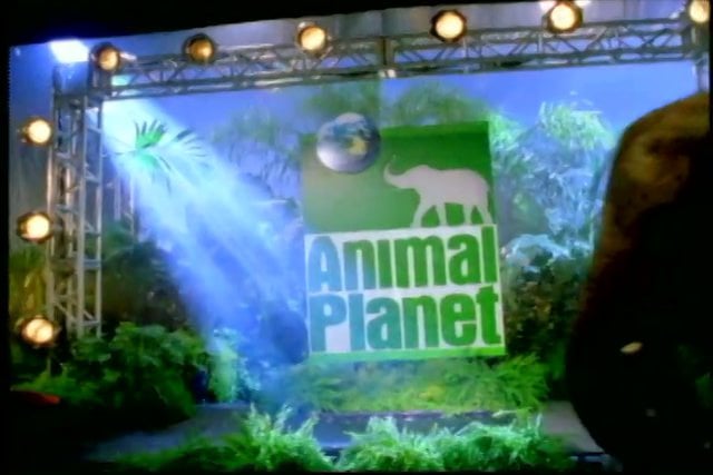 Animal Planet - Movies on Vimeo