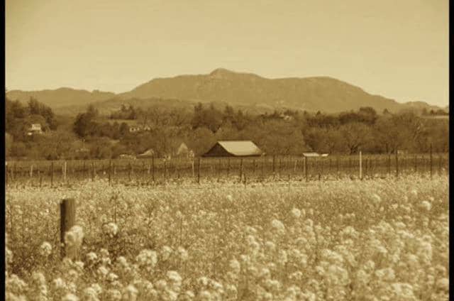 A Return to Dry Farming on Vimeo