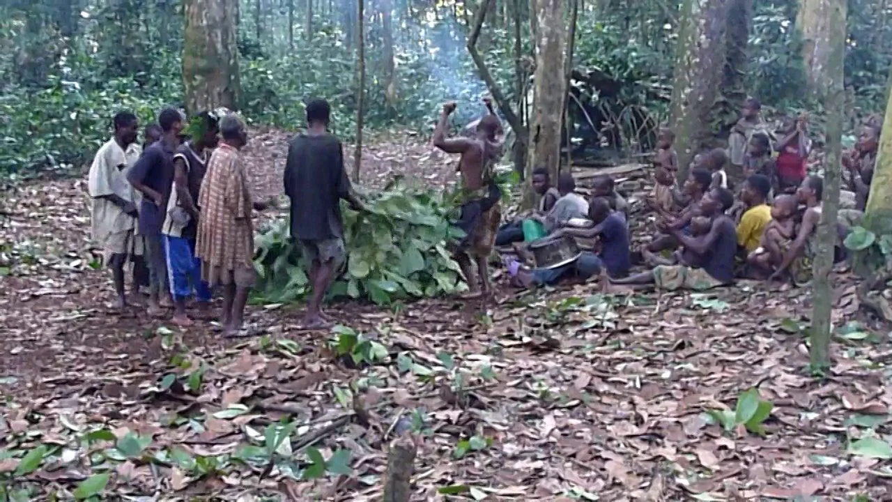 Bayaka boyobi music and dance (2) on Vimeo