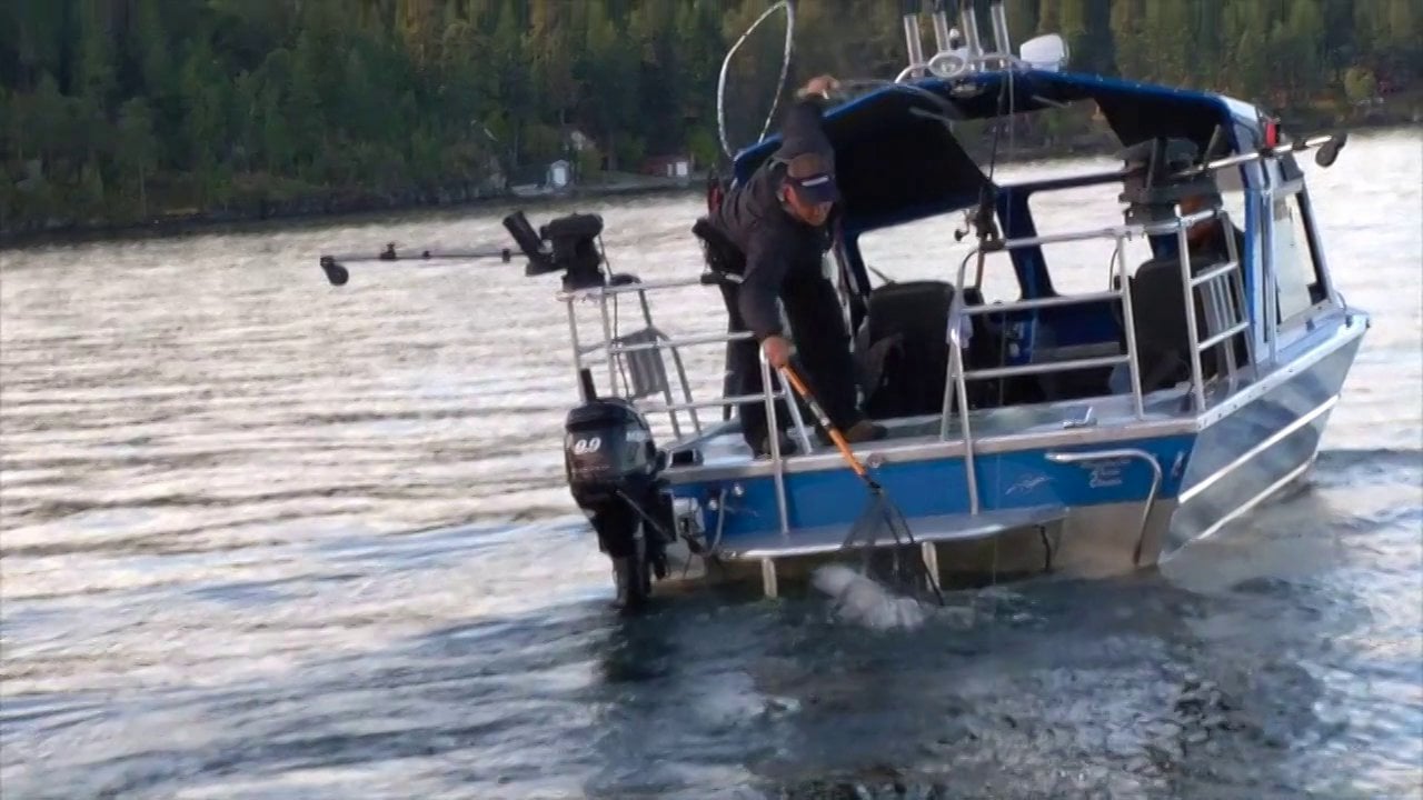 Trolling with Mike Benson and Wes Shockley: Chapter 2 on Vimeo