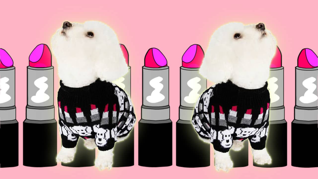 Dog Lipstick! on Vimeo