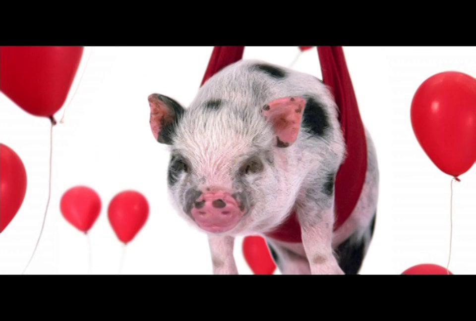 TELUS Balloons on Vimeo