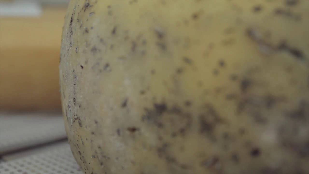 Boss Mouse Cheese on Vimeo