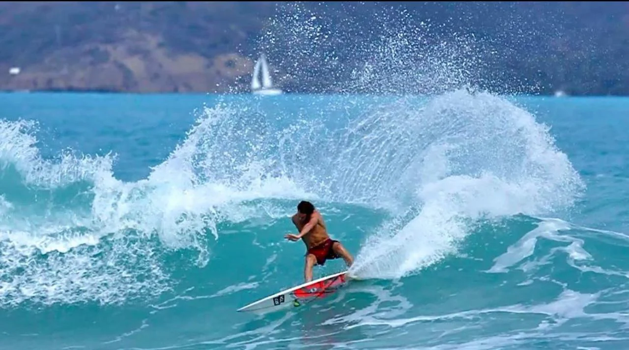 ROZAY GARDEN on Vimeo