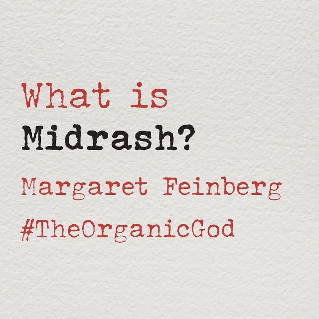 What is Midrash? on Vimeo