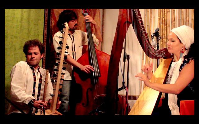 Helena Madeira Harp on Vimeo