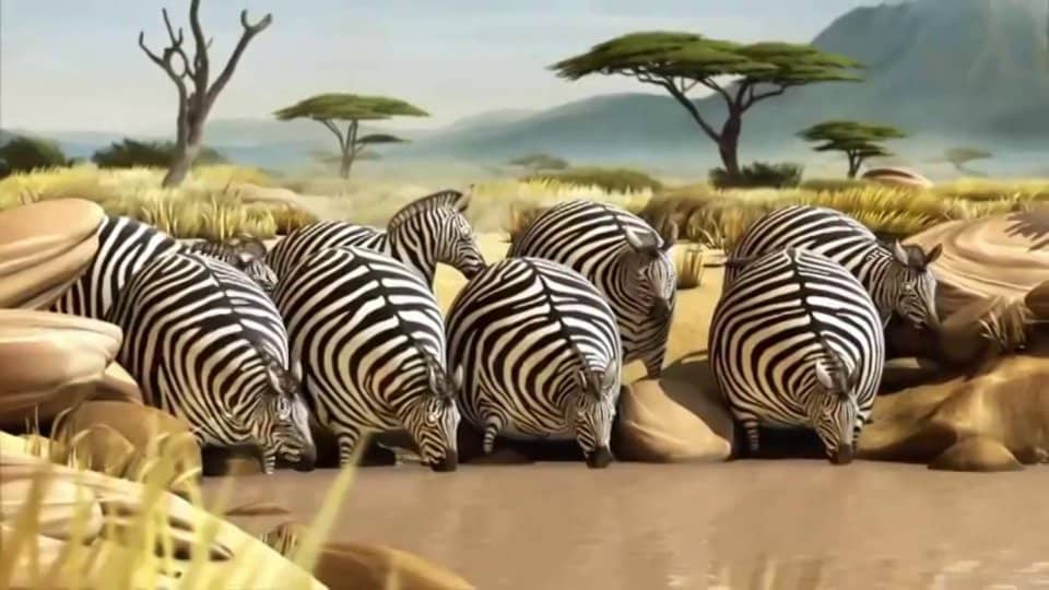 If Animals Were Fat on Vimeo