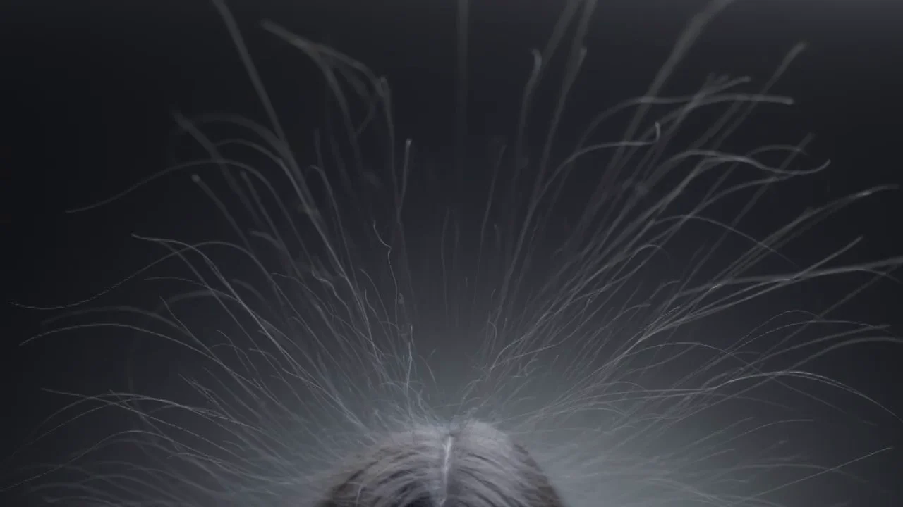 THERAMED x-ite on Vimeo
