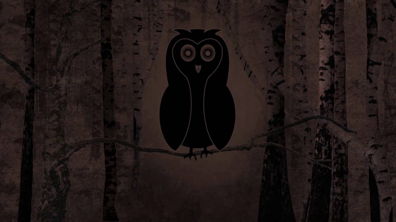 Square Owl - Animation Sequence Project on Vimeo