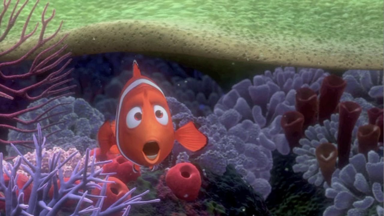 3 Nemo gets captured! OH NO!!!! on Vimeo