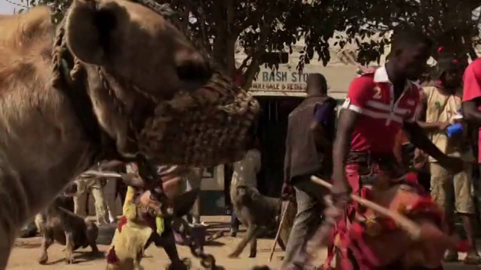 Faces of Africa: Hyena men of Nigeria on Vimeo