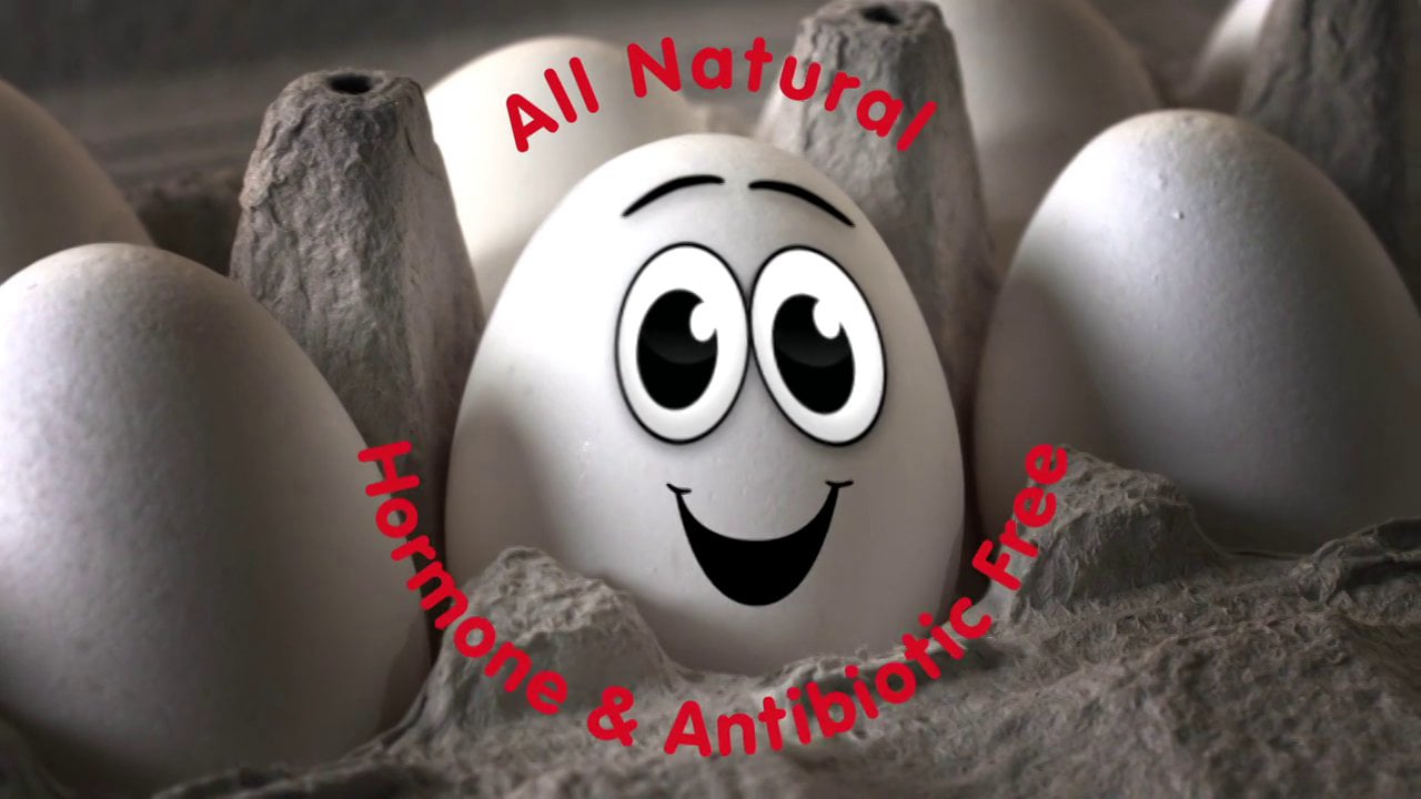 Safe Eggs Promotional Video Production | SolidLine Media