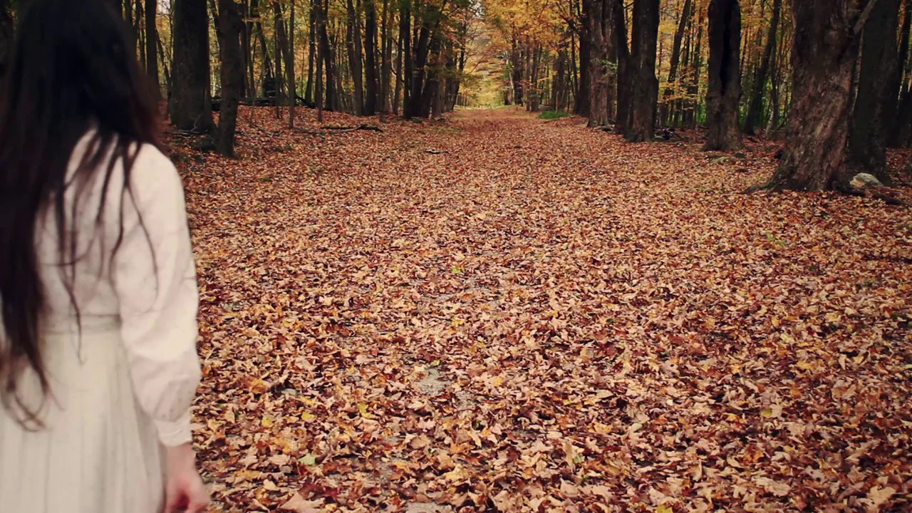 Alec K. Redfearn & the Eyesores - The 7 and 6 (Official Video) on Vimeo