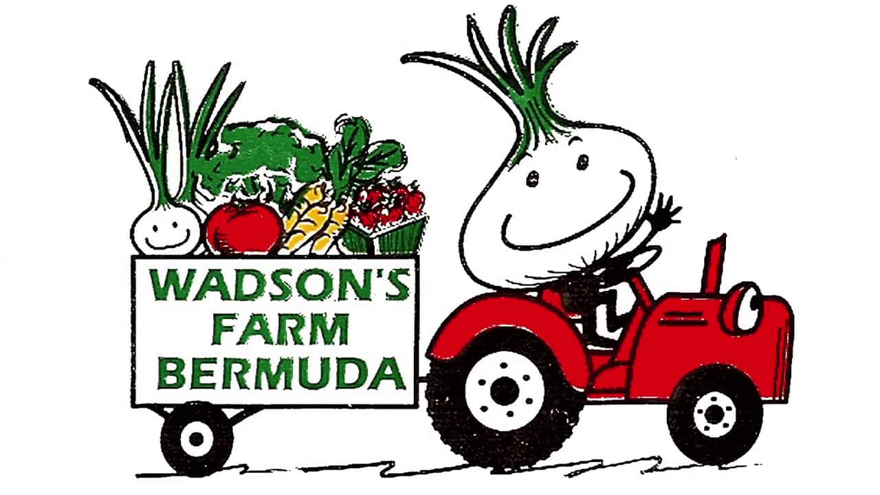 Wadson's Farm on Vimeo