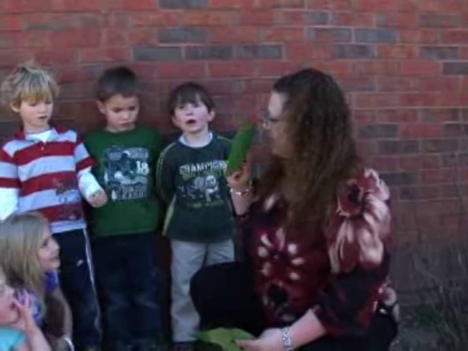 ring a rime on Vimeo