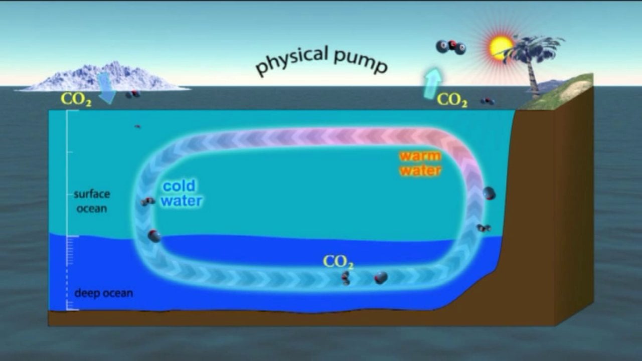 Marine physical pump on Vimeo
