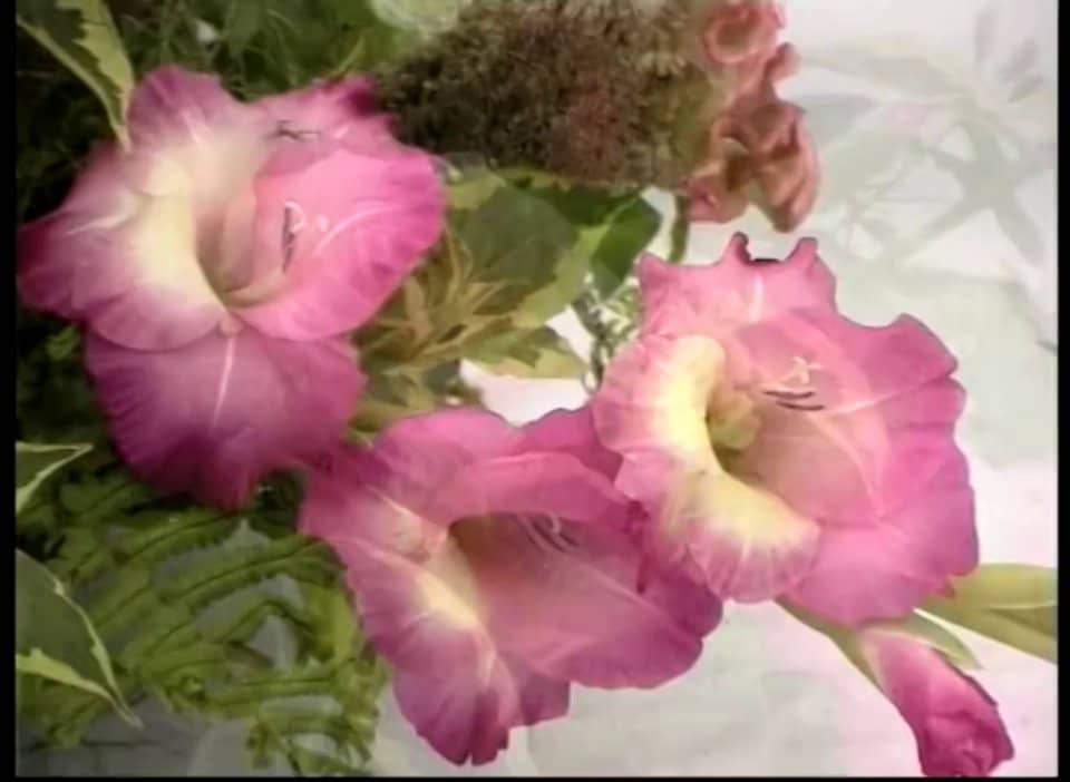 Gateshead Flower Festival 2004 on Vimeo