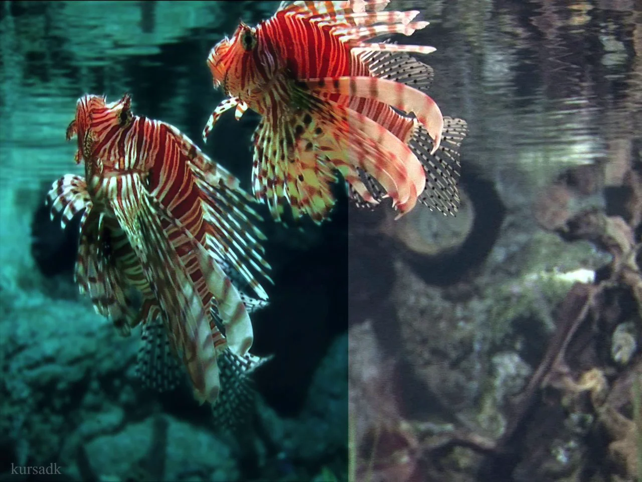 Color grading test with Resolve on Vimeo