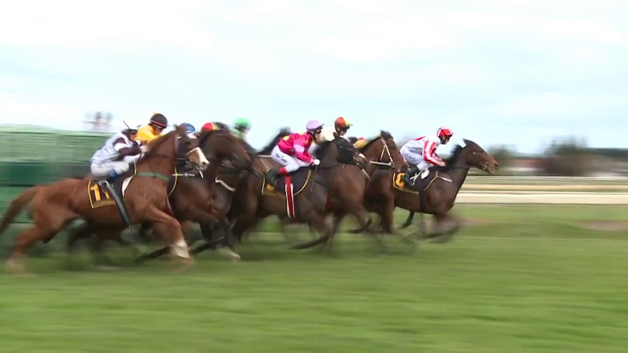 Hawkes Bay Racing Promo on Vimeo