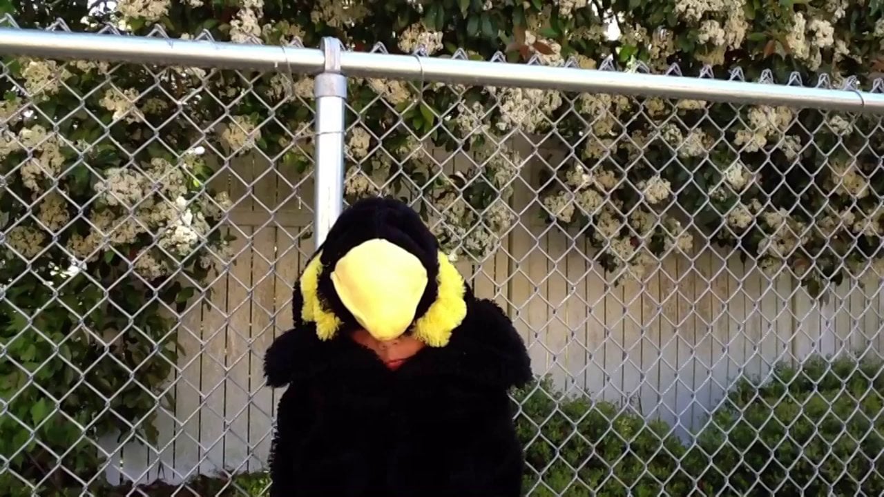 Sneaky Gang on Vimeo