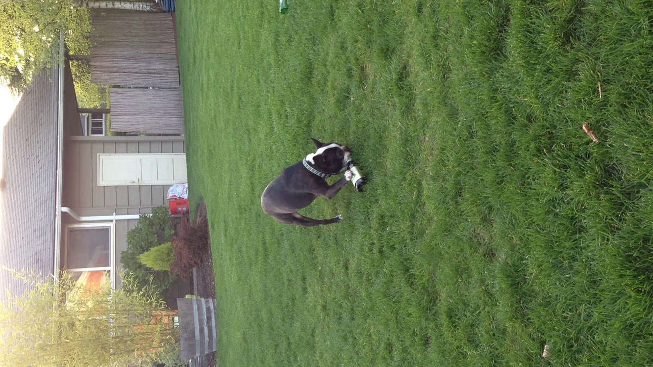 Beer Fetcher on Vimeo